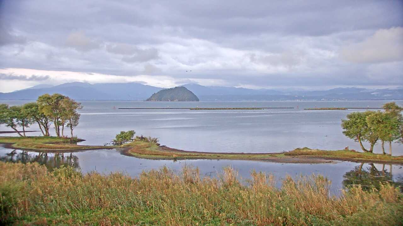 琵琶湖の水鳥の時間別画像 │ インターネット自然研究所 ライブ映像閲覧