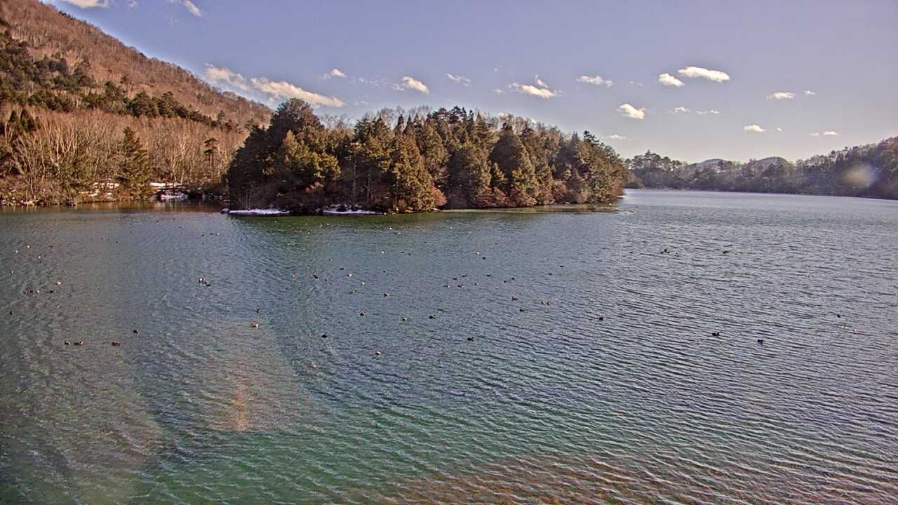 Lake Yunoko in Oku-Nikko New pictures │ Internet Nature Institute